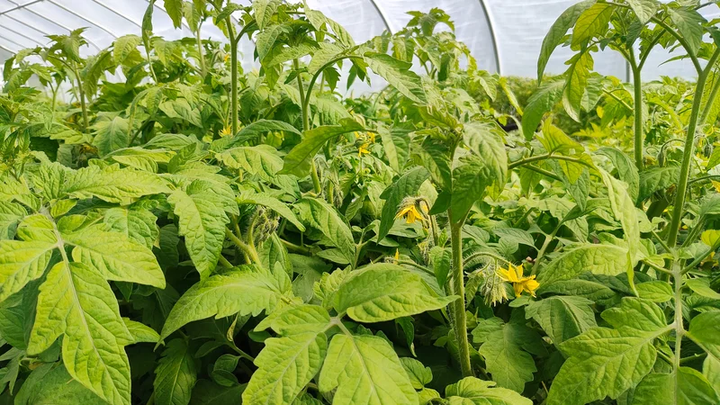 May 15th - Your Field Team Makes Your Day | Paul @ Farm